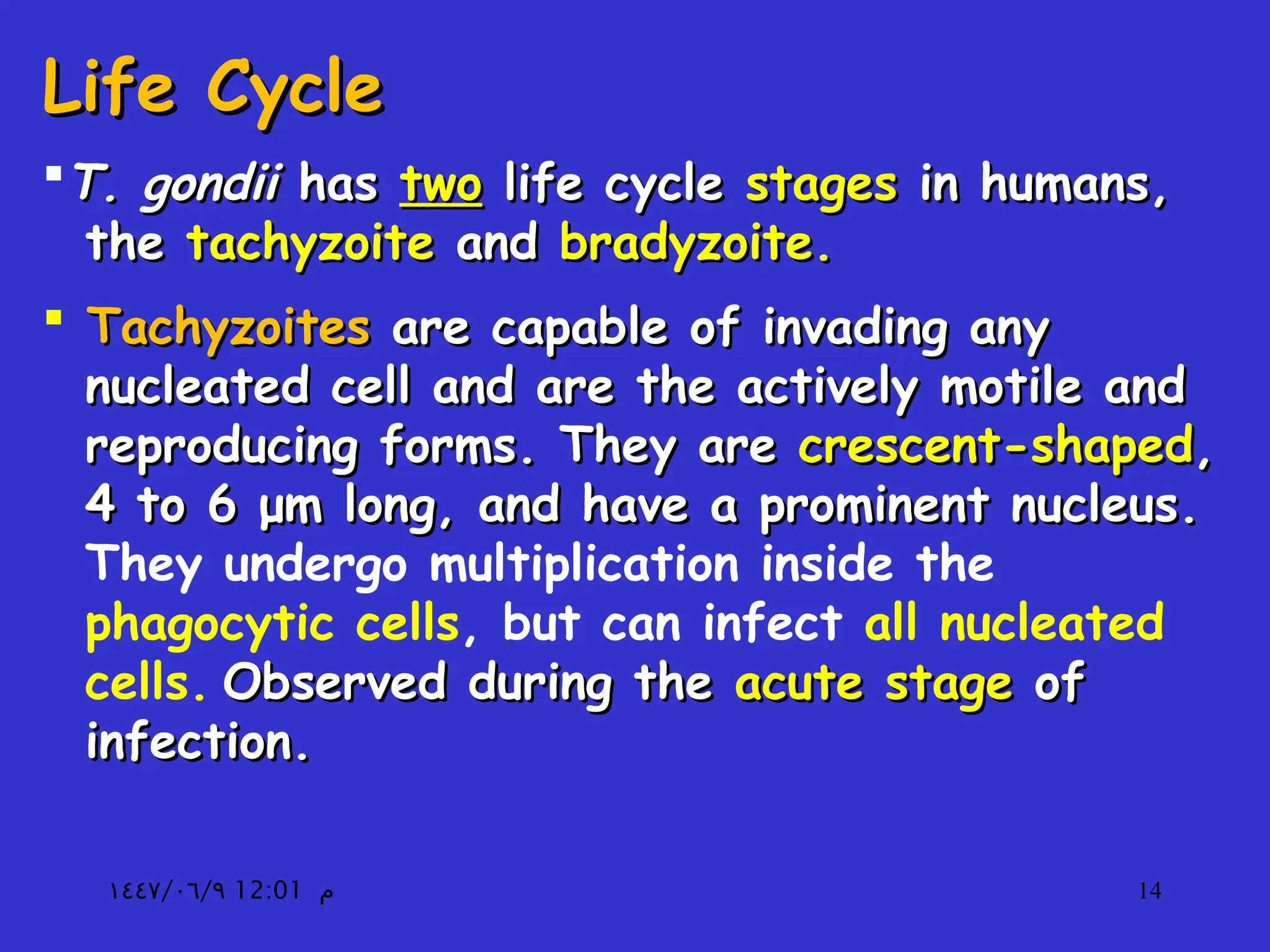 Lecture 6.pptmmmmmmmmmmmmmmmmmmmmmmmmmmmmm | PPT