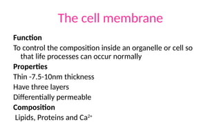 Lecture 6: Mineral salts absorption in plants | PPTX