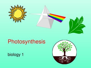 Photosynthesis Introduction Presentation | PPT