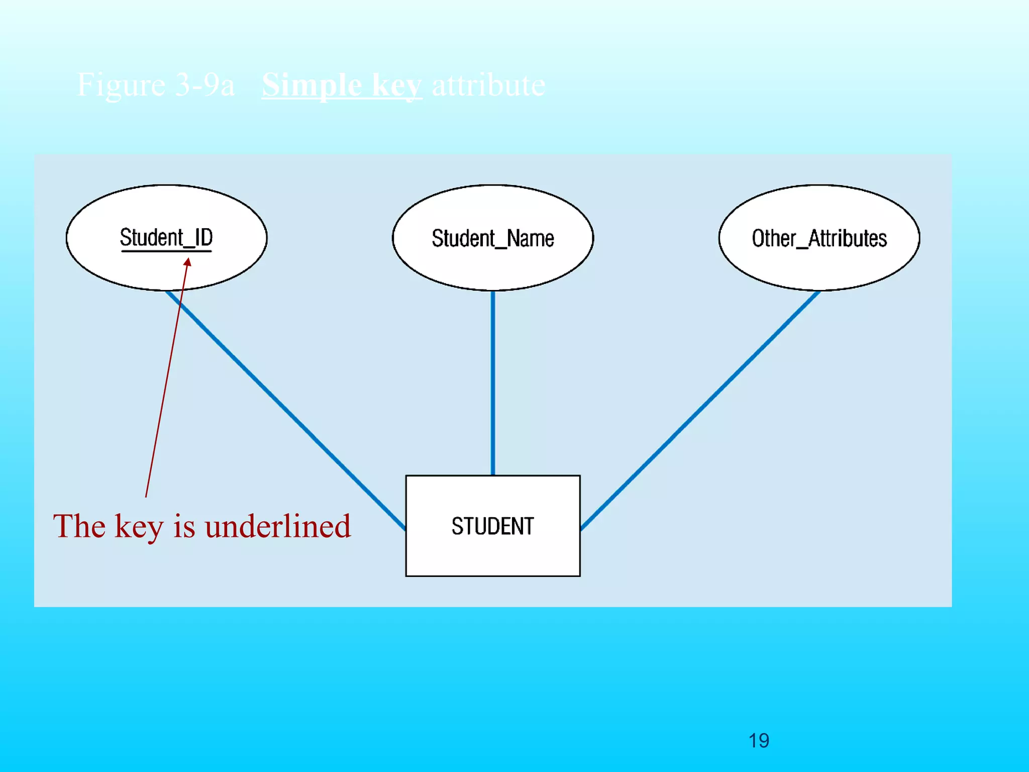 Database Management System Ppt Databases Computer Software And Applications