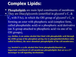 Lecture 6 7 lipids and membranes | PPT