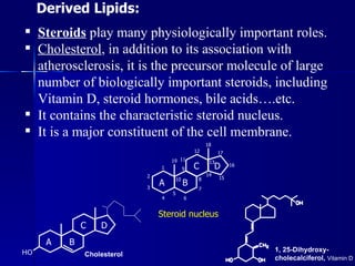 Lecture 6 7 lipids and membranes | PPT
