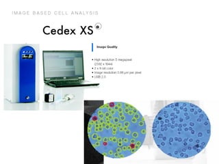 Lecture 6 cell culture monitoring | PPT