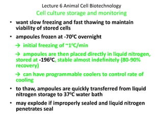 Lecture 6 cell culture monitoring | PPT