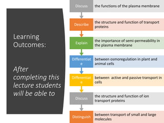 Lecture 6-Cell Transport_6f1acfb3fdab28289dec311b4a292964.pdf ...