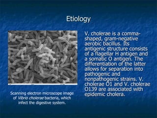 Lecture 6. cholera | PPT
