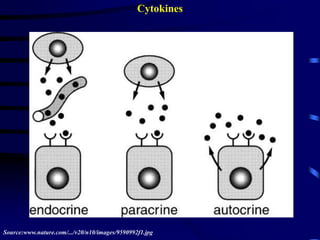 Lecture 6 - Complements and cytokines.ppt
