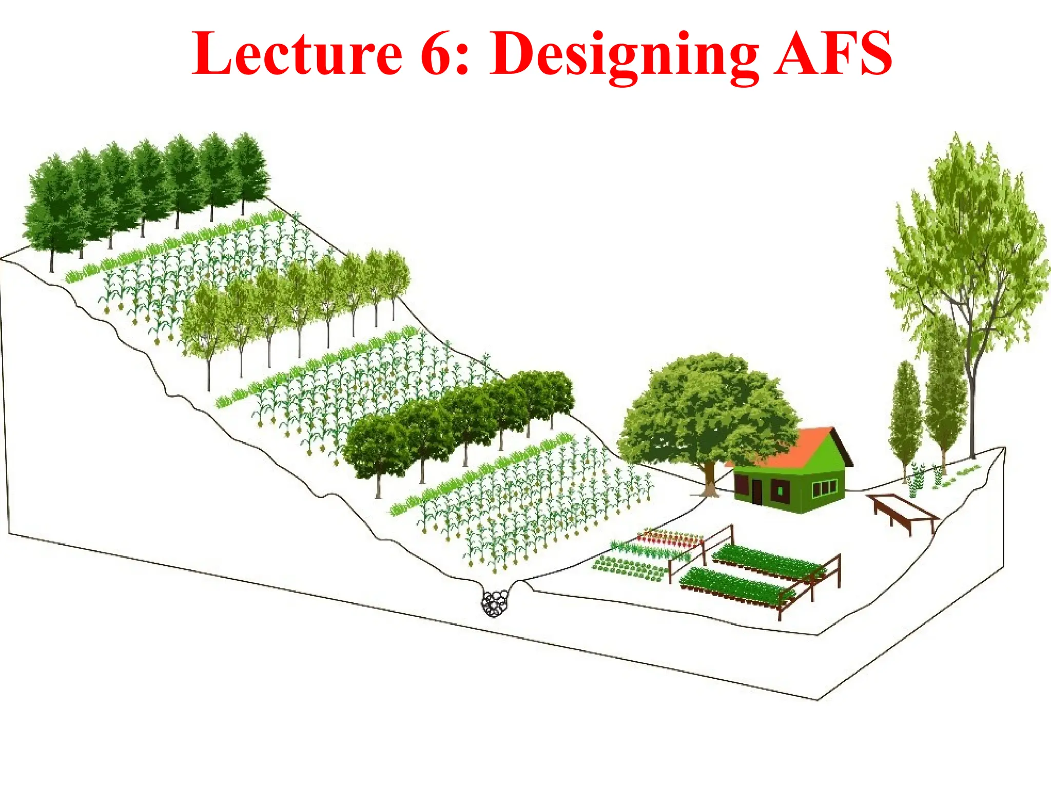 Lecture 6- Designing agroforestry system.pptx