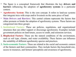 Lecture 6- Designing agroforestry system.pptx