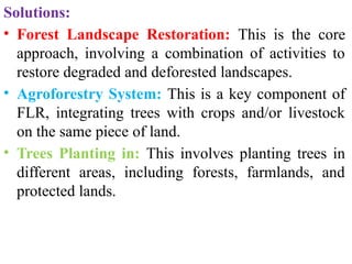 Lecture 6- Designing agroforestry system.pptx
