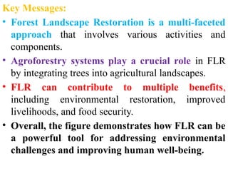 Lecture 6- Designing agroforestry system.pptx