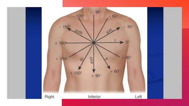 Hexaxial reference system | PPTX