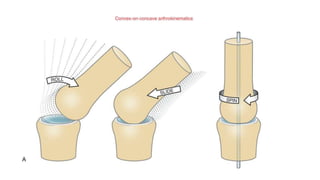 lecture 6 -revision before midterm exam.pptx | Physics | Science