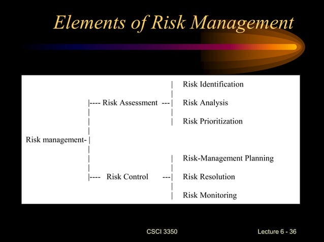 Lecture 6 - Risk Management.pptx