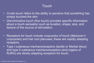 Lecture 6 sensory | PPT