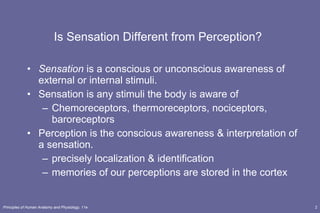 Lecture 6 sensory | PPT