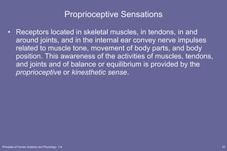 Lecture 6 sensory | PPT