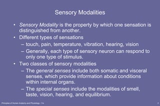 Lecture 6 sensory | PPT