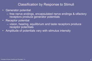 Lecture 6 sensory | PPT
