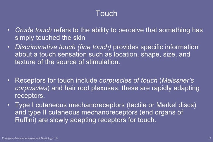 Lecture 6 sensory