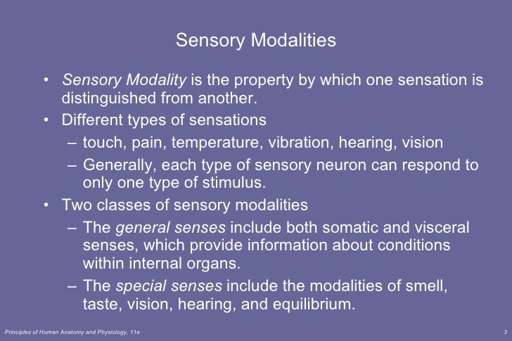 Lecture 6 sensory