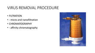 Lecture 6 Virus inactivation and removal | PPTX