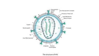 Lecture 6 Virus inactivation and removal | PPTX
