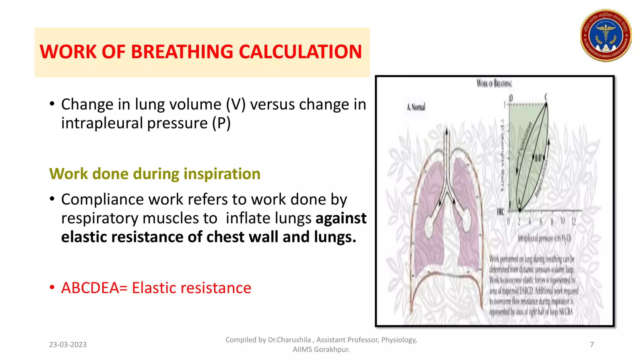 lecture 6 /2023-Respiratory Physiology - work of breathing , dead space.pdf