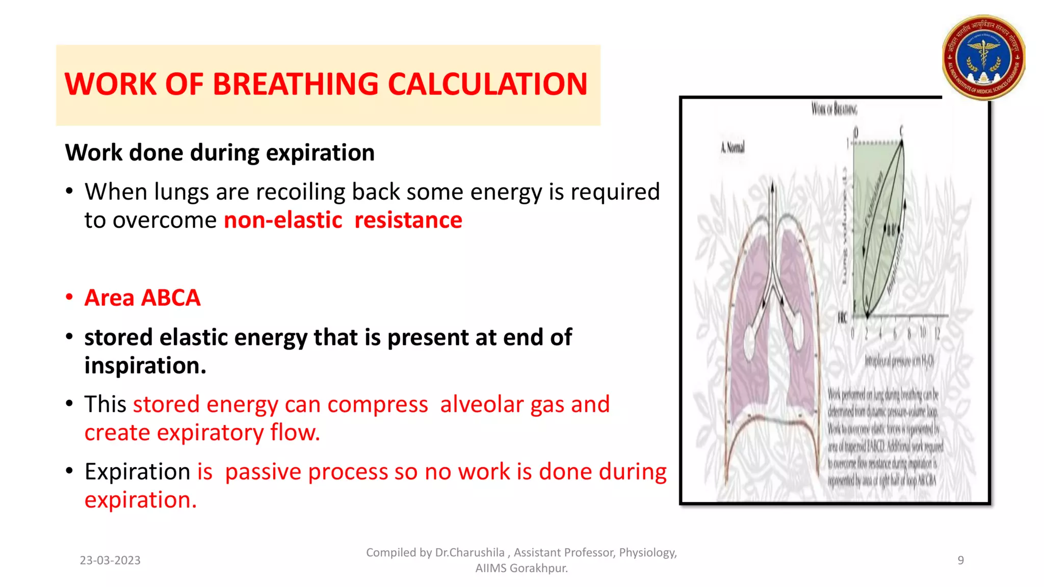 lecture 6 /2023-Respiratory Physiology - work of breathing , dead space.pdf