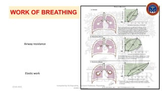 lecture 6 /2023-Respiratory Physiology - work of breathing , dead space.pdf