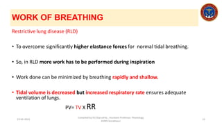 lecture 6 /2023-Respiratory Physiology - work of breathing , dead space.pdf