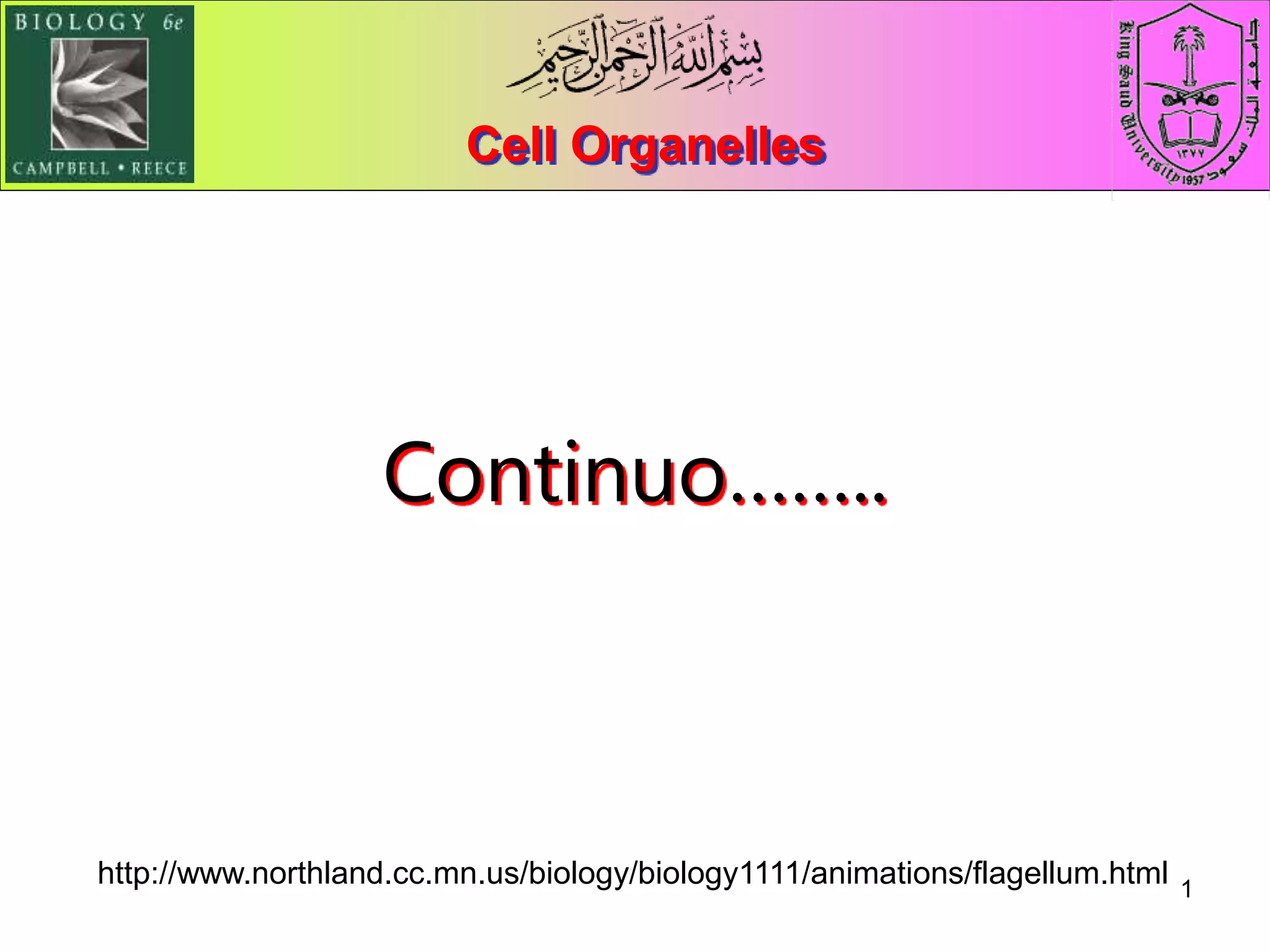 lecture_6_3 cells.ppt