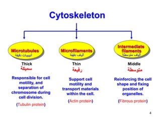 lecture_6_3 cells.ppt