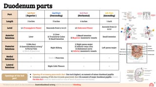 Lecture (6,7) Intestine (1).pdf