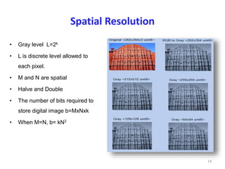 Digital Image Fundamentals | PPTX