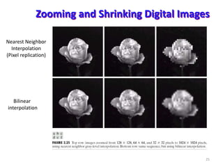 Digital Image Fundamentals | PPTX
