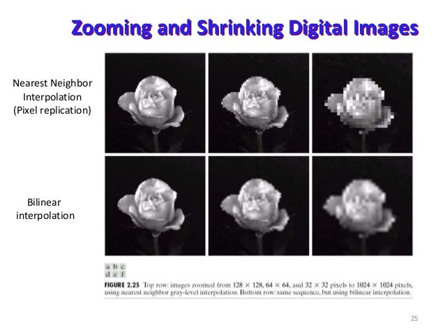Digital Image Fundamentals