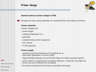 primerdesignisscarybutthisisbetterthanthattrustme | PPT