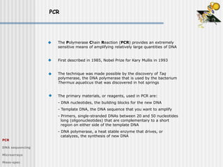 primerdesignisscarybutthisisbetterthanthattrustme | PPT