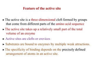 Lecture 6 –active site identification | PDF