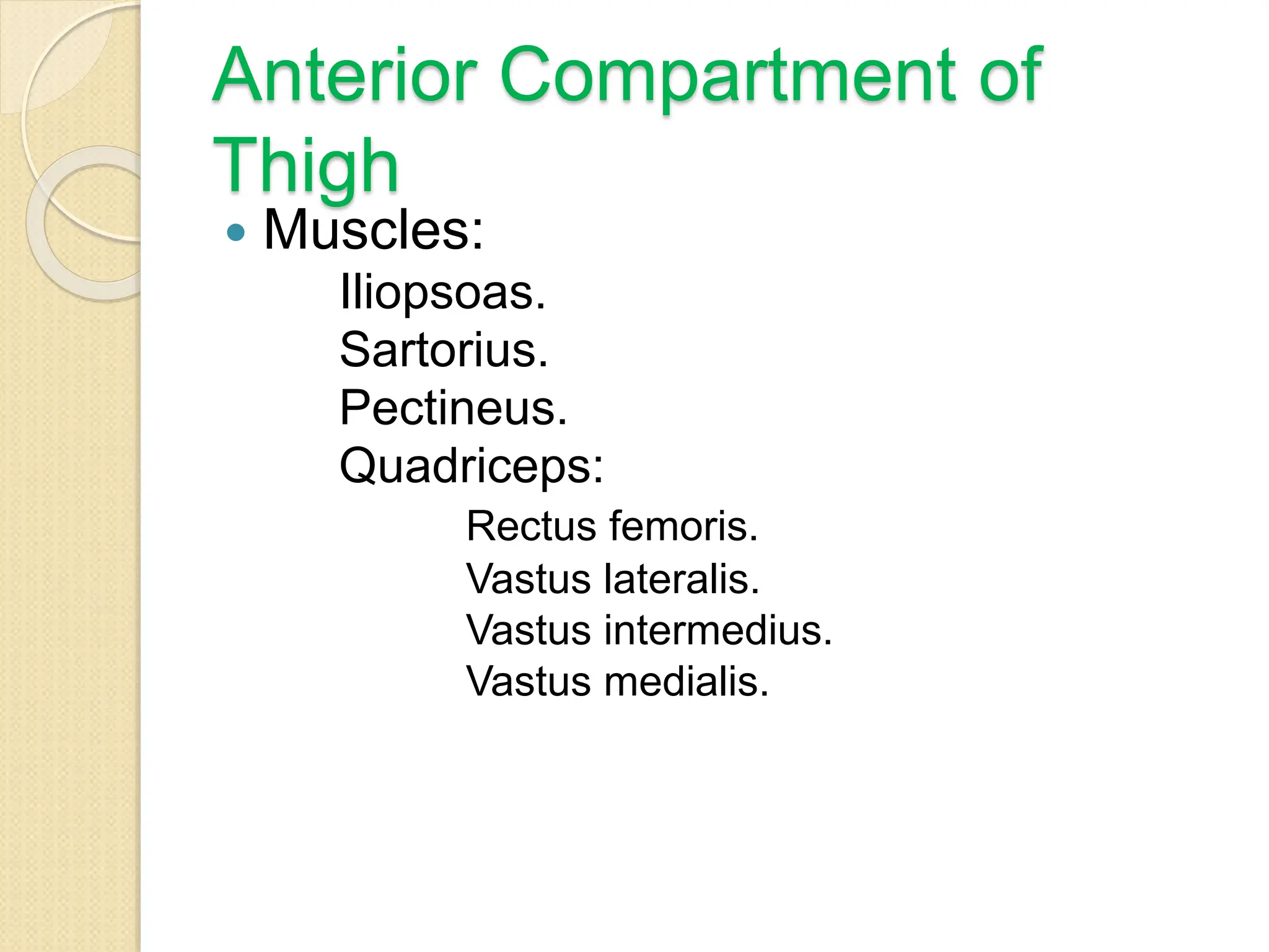 LECTURE 6 Anterior compartment of thigh.ppt