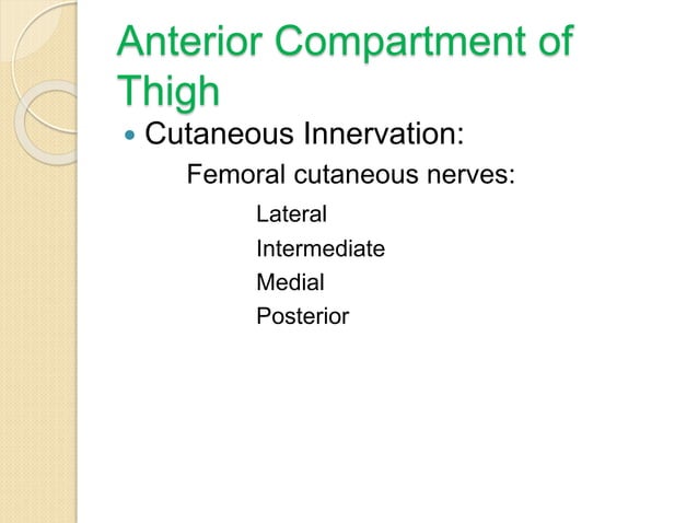 LECTURE 6 Anterior compartment of thigh.ppt