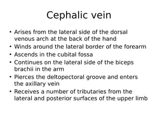 lecture 6aThe Fore am.pdf