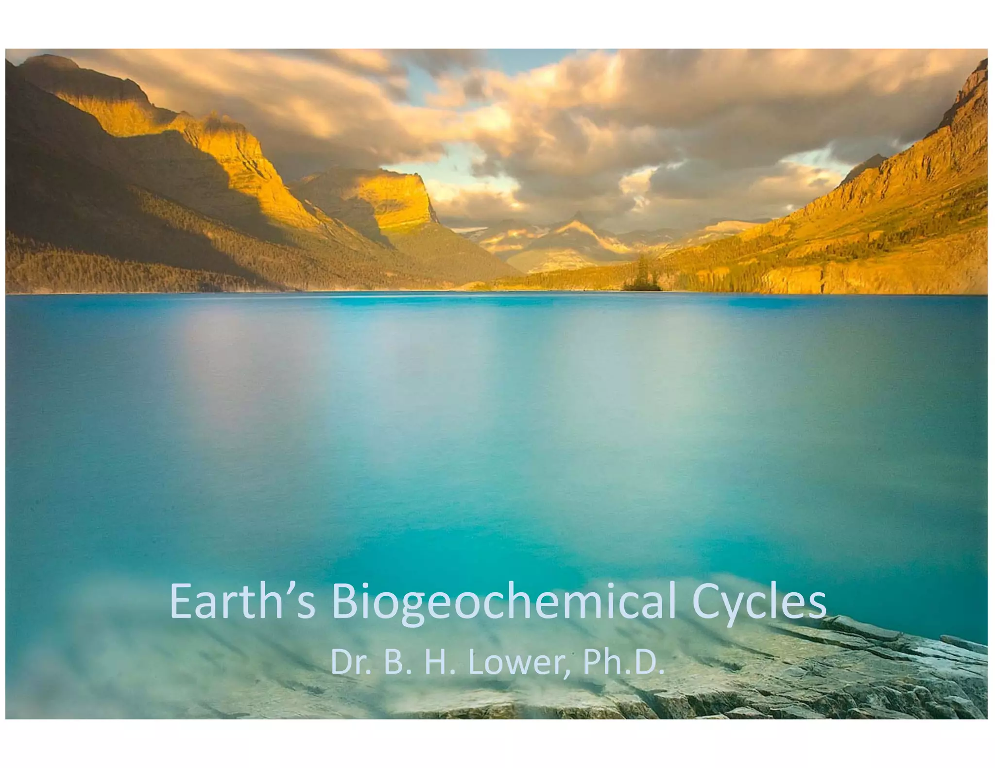 Lecture 6 biogeochemical cycles | PDF