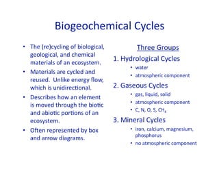 Lecture 6 biogeochemical cycles | PDF