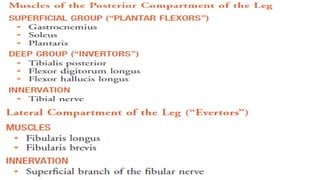 Lecture 6 Bio II gjghh hgfg hgg ggf-1.pdf