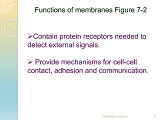 Lecture 6 Biological Membranes.pptx