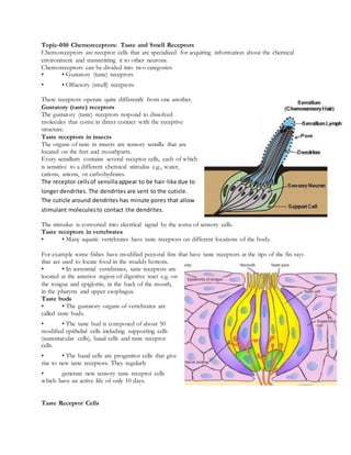 lecture 6b physio.docx
