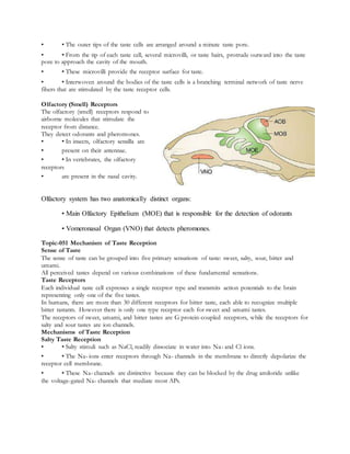 lecture 6b physio.docx