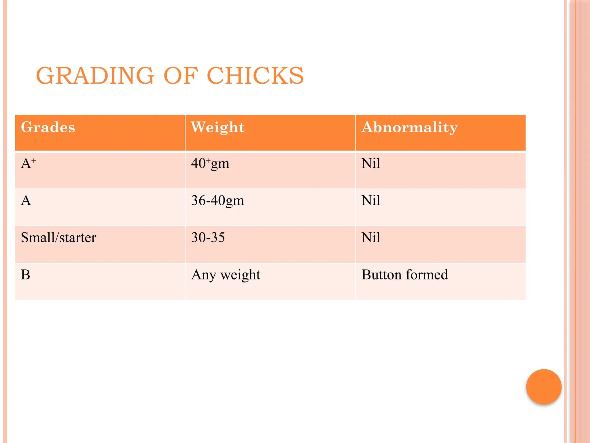 Broiler flock management.pptx in poultry | PPTX